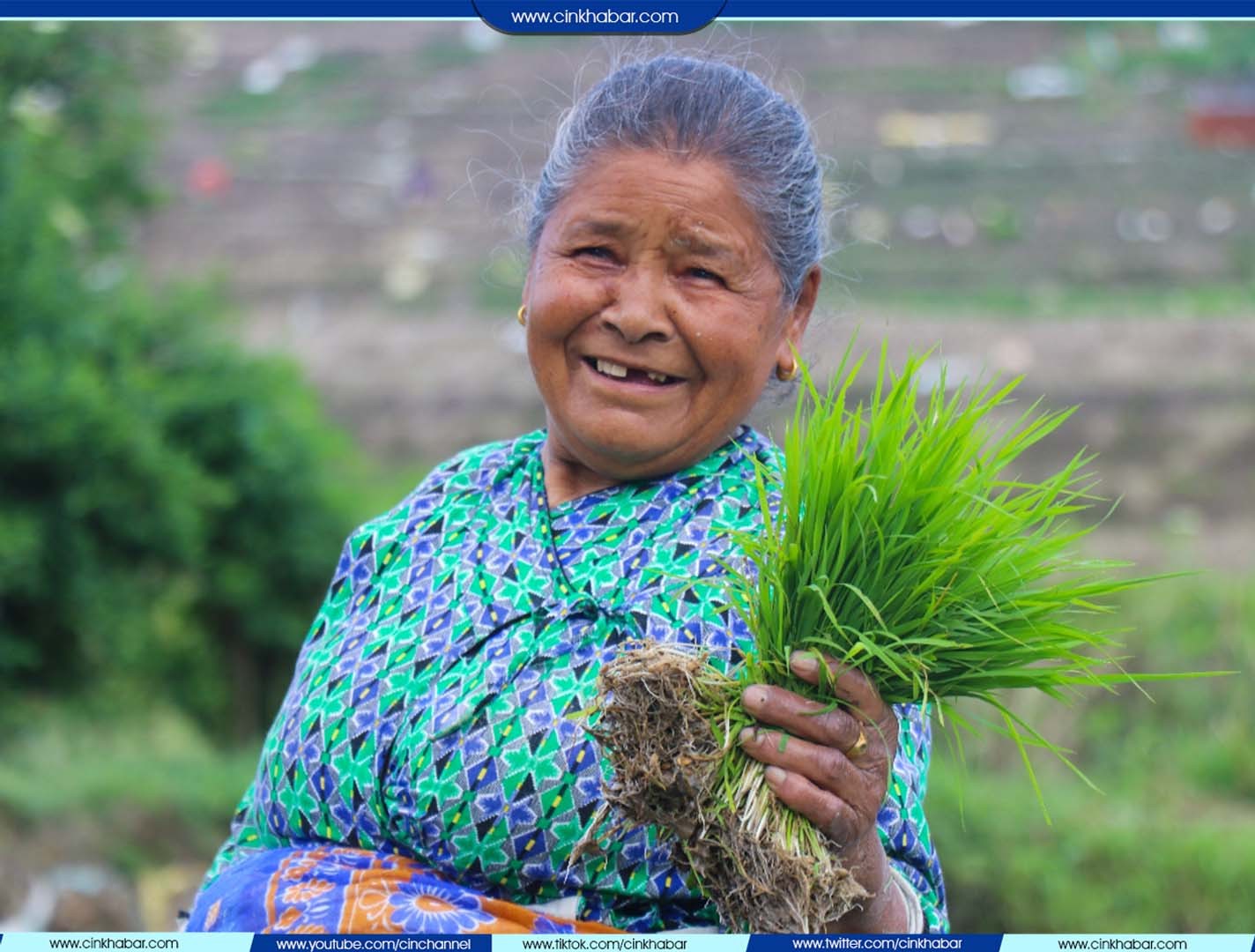 खोकनामा रोपाइँ (तस्बिरहरू) - लक्ष्मी धिमाल :: CIN Khabar